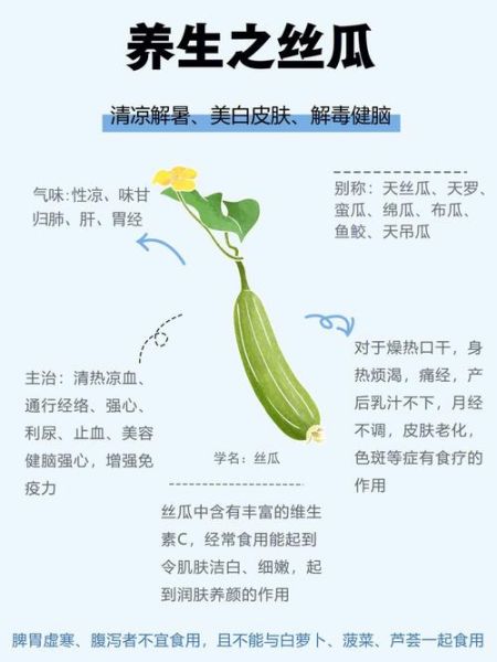 丝瓜的营养价值_丝瓜的功效与作用-第2张图片-山城妙识 丝瓜的营养价值_丝瓜的功效与作用-第2张图片-山城妙识