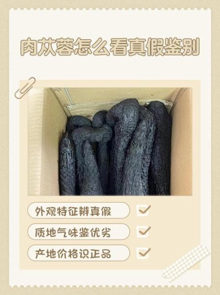 肉苁蓉图片真假鉴别_肉苁蓉图片高清细节-第3张图片-山城妙识 肉苁蓉图片真假鉴别_肉苁蓉图片高清细节-第3张图片-山城妙识