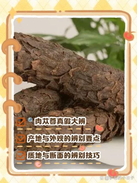 肉苁蓉图片真假鉴别_肉苁蓉图片高清细节-第2张图片-山城妙识 肉苁蓉图片真假鉴别_肉苁蓉图片高清细节-第2张图片-山城妙识