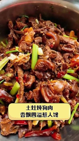 家常炖狗肉的做法_炖狗肉需要哪些配料-第3张图片-山城妙识