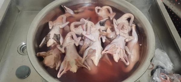 温州麻油鸭正宗配方_温州麻油鸭怎么做才够香-第1张图片-山城妙识 温州麻油鸭正宗配方_温州麻油鸭怎么做才够香-第1张图片-山城妙识