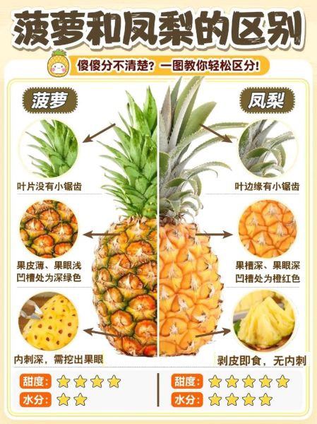 台湾凤梨图片_怎么挑选成熟凤梨-第2张图片-山城妙识