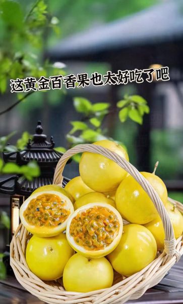黄金百香果怎么挑_黄金百香果图片长什么样-第2张图片-山城妙识 黄金百香果怎么挑_黄金百香果图片长什么样-第2张图片-山城妙识