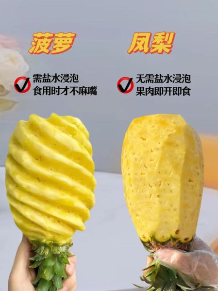 台湾凤梨图片_怎么挑选成熟凤梨-第3张图片-山城妙识