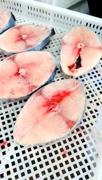 马鲛鱼的营养价值_马鲛鱼适合什么人吃-第3张图片-山城妙识