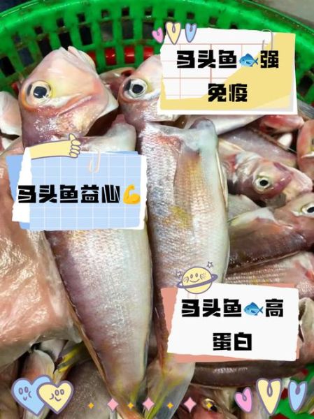 头鱼是什么意思_头鱼的寓意和象征-第1张图片-山城妙识