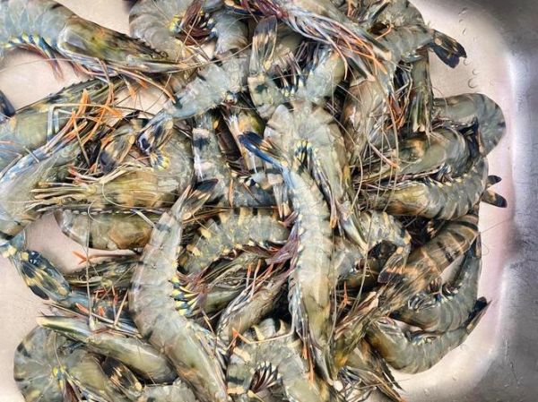 澳洲龙虾多少钱一只_澳洲龙虾价格怎么算-第3张图片-山城妙识