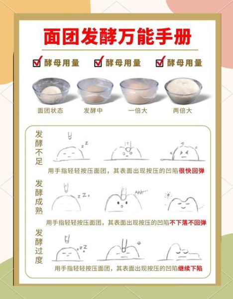 酵母发面10小时能吃吗_发面时间过长还能蒸吗-第3张图片-山城妙识