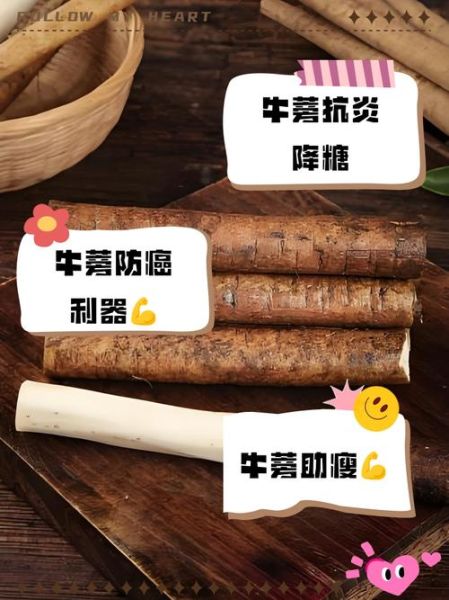 鲜牛蒡怎么做好吃_鲜牛蒡的做法大全-第2张图片-山城妙识 鲜牛蒡怎么做好吃_鲜牛蒡的做法大全-第2张图片-山城妙识