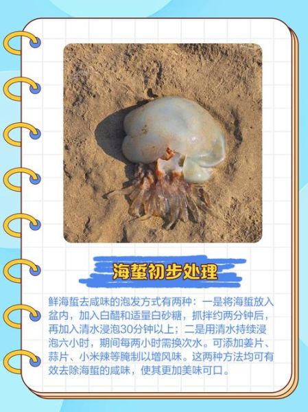 鲜海蜇怎么快速处理_鲜海蜇怎么吃最快-第1张图片-山城妙识