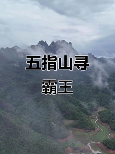 霸王卸甲什么意思_霸王卸甲典故出处-第1张图片-山城妙识 霸王卸甲什么意思_霸王卸甲典故出处-第1张图片-山城妙识