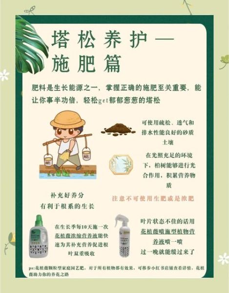 松塔盆栽怎么养_松塔盆栽多久浇一次水-第1张图片-山城妙识