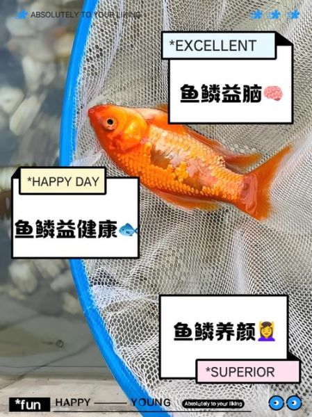 炸鱼鳞吃了有什么好处_炸鱼鳞的营养价值-第1张图片-山城妙识 炸鱼鳞吃了有什么好处_炸鱼鳞的营养价值-第1张图片-山城妙识