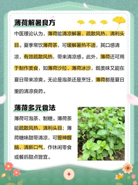 薄荷减肥网靠谱吗_薄荷减肥网怎么用-第1张图片-山城妙识