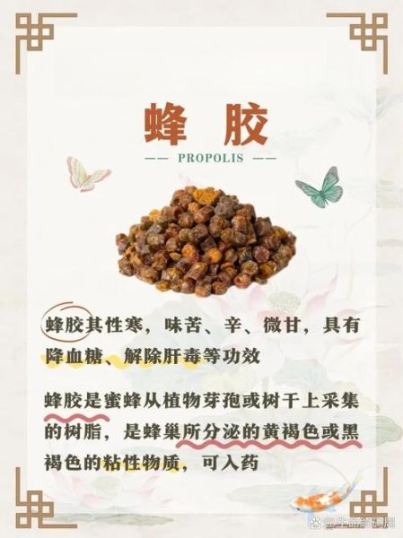 蜂胶的功效与作用有哪些_蜂胶的十大功效真的有用吗-第1张图片-山城妙识 蜂胶的功效与作用有哪些_蜂胶的十大功效真的有用吗-第1张图片-山城妙识