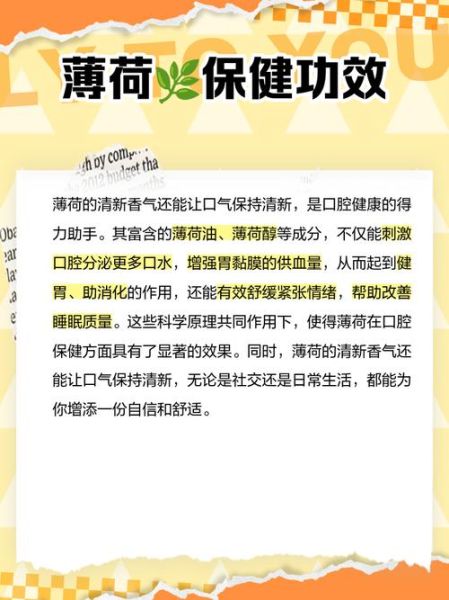 薄荷减肥网靠谱吗_薄荷减肥网怎么用-第3张图片-山城妙识
