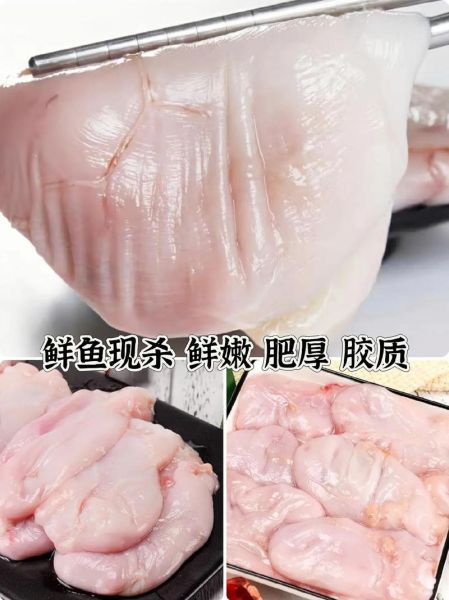 鱼肚怎么发_鱼肚泡发多久才软-第3张图片-山城妙识 鱼肚怎么发_鱼肚泡发多久才软-第3张图片-山城妙识