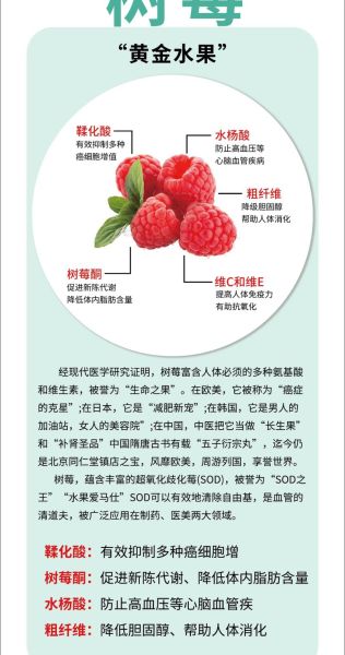 树莓酒的功效与作用_树莓酒能减肥吗-第3张图片-山城妙识