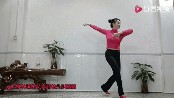 糖豆广场舞怎么下载_糖豆广场舞安装教程-第3张图片-山城妙识