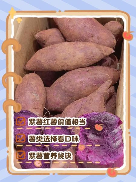 紫土豆和紫薯的区别_哪个营养价值更高-第3张图片-山城妙识