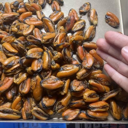 青口是什么_青口贝和淡菜的区别-第3张图片-山城妙识 青口是什么_青口贝和淡菜的区别-第3张图片-山城妙识