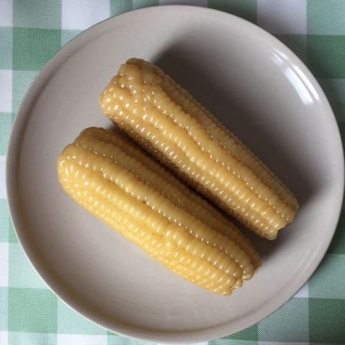 豆果美食菜谱大全下载_如何免费获取全部资源-第1张图片-山城妙识