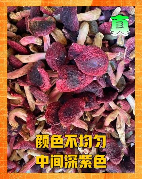 红菇多少钱一斤_红菇真假怎么辨别-第1张图片-山城妙识