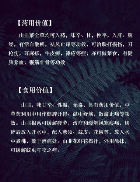 韭菜的功效与作用及禁忌_韭菜吃多了有什么坏处-第1张图片-山城妙识