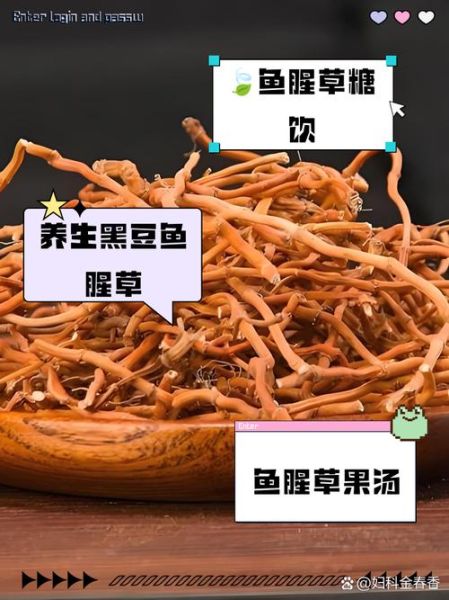 鱼腥草怎么吃治妇科炎症_鱼腥草治妇科病的正确用法-第3张图片-山城妙识