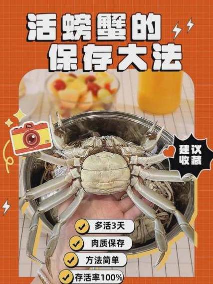 螃蟹怎么保存_生的还是煮熟的-第1张图片-山城妙识