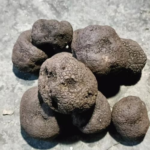 黑松露多少钱一斤_黑松露价格为什么差异大-第2张图片-山城妙识 黑松露多少钱一斤_黑松露价格为什么差异大-第2张图片-山城妙识