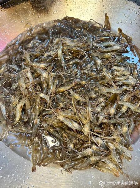 淡水河虾图片大全大图_如何辨别品种与生态特征-第3张图片-山城妙识 淡水河虾图片大全大图_如何辨别品种与生态特征-第3张图片-山城妙识