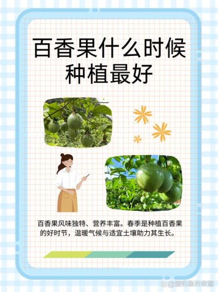 百香果什么时候种_百香果几月份种最合适-第1张图片-山城妙识