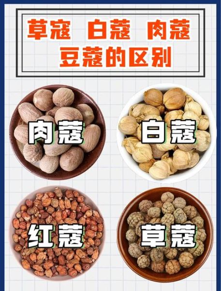 草果和肉蔻能一起炖肉吗_草果肉蔻炖肉比例是多少-第1张图片-山城妙识