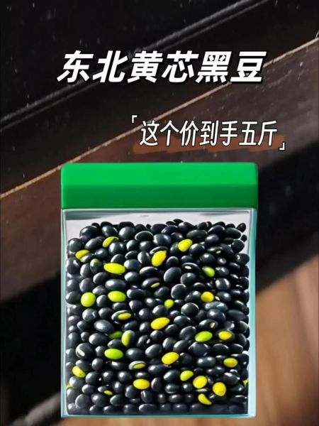 黑豆绿芯好还是黄芯好_营养价值与口感差异-第3张图片-山城妙识