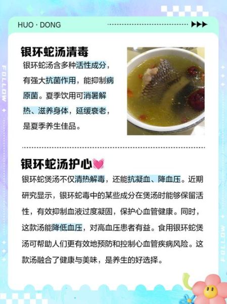 蛇汤的功效与作用_蛇汤适合什么人喝-第1张图片-山城妙识