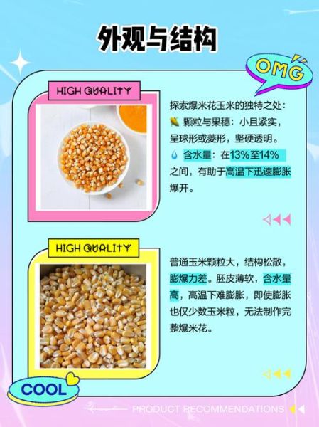 爆米花玉米粒和普通玉米粒有什么区别_哪个更适合做爆米花-第1张图片-山城妙识