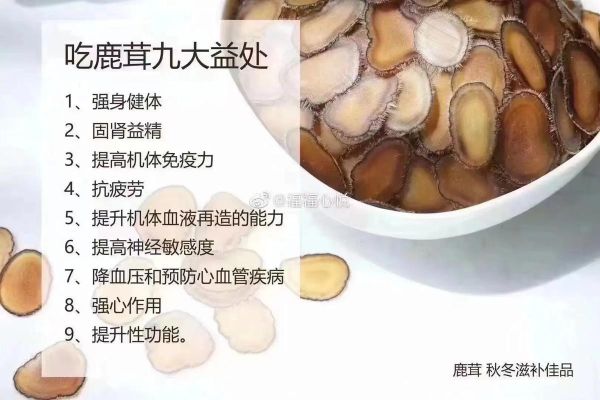 鹿茸片怎么吃效果最好_鹿茸片服用方法-第2张图片-山城妙识 鹿茸片怎么吃效果最好_鹿茸片服用方法-第2张图片-山城妙识