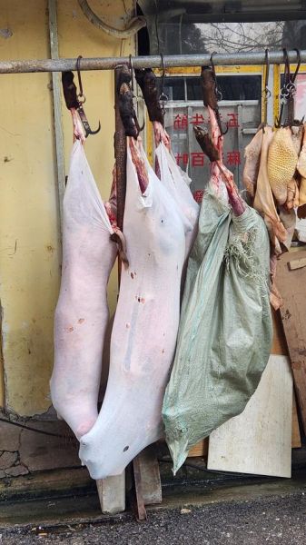 酒曲制作方法_酒曲原料有哪些-第1张图片-山城妙识