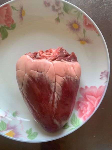 羊心图片怎么拍_羊心解剖结构图高清-第1张图片-山城妙识 羊心图片怎么拍_羊心解剖结构图高清-第1张图片-山城妙识