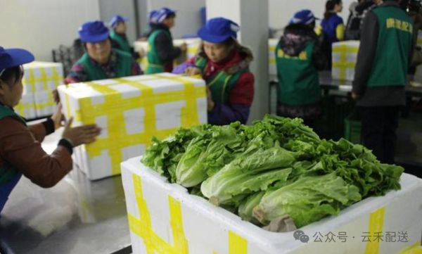 蔬菜配送公司需要什么条件_如何办理蔬菜配送资质-第3张图片-山城妙识