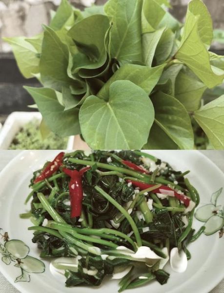 红薯叶怎么做好吃_红薯叶12种吃法大全-第3张图片-山城妙识