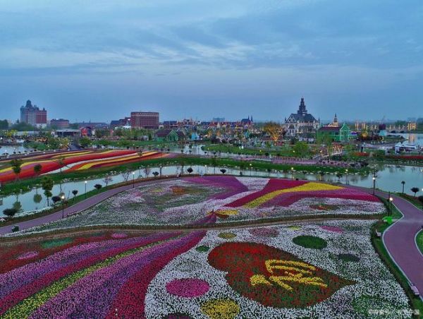 荷兰花海在哪里_荷兰花海门票多少钱-第3张图片-山城妙识 荷兰花海在哪里_荷兰花海门票多少钱-第3张图片-山城妙识