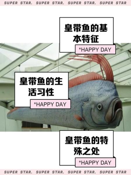 皇带鱼是龙的原型吗_龙的原型探究-第3张图片-山城妙识