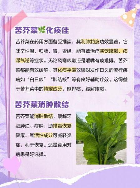 苦菜图片功效与作用_如何食用-第2张图片-山城妙识 苦菜图片功效与作用_如何食用-第2张图片-山城妙识