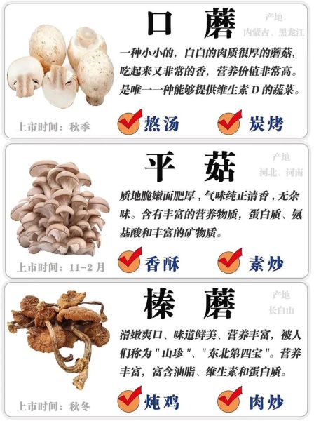 野生茶树菇怎么挑选_野生茶树菇和人工区别-第1张图片-山城妙识