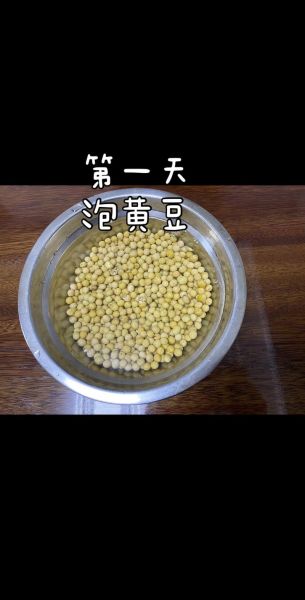 黄豆怎么做豆腐_家庭自制豆腐步骤-第2张图片-山城妙识 黄豆怎么做豆腐_家庭自制豆腐步骤-第2张图片-山城妙识