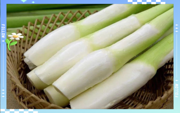 茭白是笋类吗_茭白和竹笋的区别-第3张图片-山城妙识