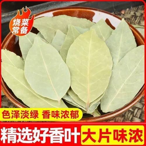 香叶月桂是什么_香叶月桂和月桂叶区别-第2张图片-山城妙识 香叶月桂是什么_香叶月桂和月桂叶区别-第2张图片-山城妙识