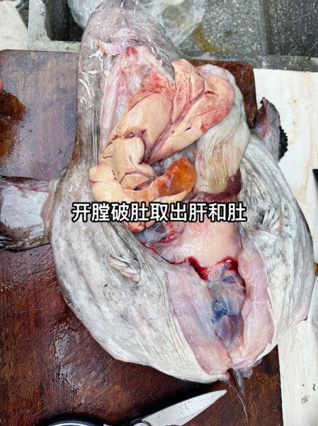 安康鱼怎么处理_安康鱼怎么去腥-第2张图片-山城妙识
